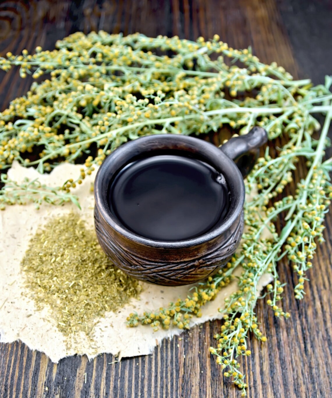 Wormwood Herb / Artemisa Absinthium L / Herbal Tea Health - Etsy