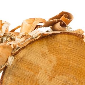 Birch Bark / Betulae Cortex / Health Embassy - Etsy