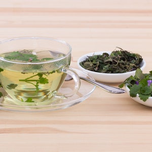 Ground Ivy Herb / Glechoma Hederacea L / Herbal Tea Health Embassy - Etsy