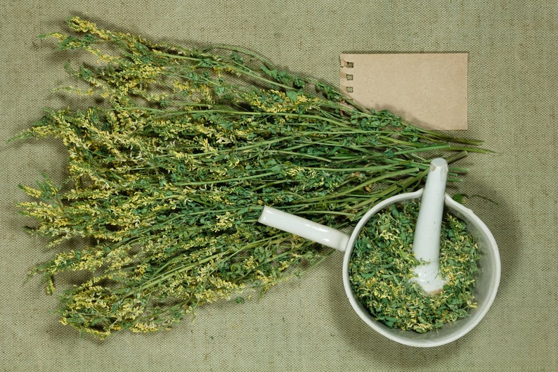 Meliot Sweet Clover Herb / Melilotus L / Herbal Tea Health Embassy - Etsy