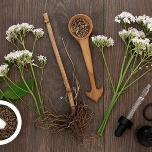 Valerian Root / Radix Valerianae / Health Embassy - Etsy