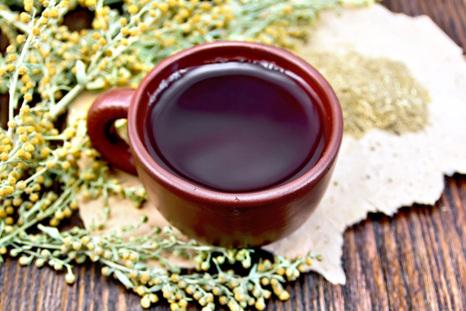 Wormwood Herb / Artemisa Absinthium L / Herbal Tea Health Embassy - Etsy