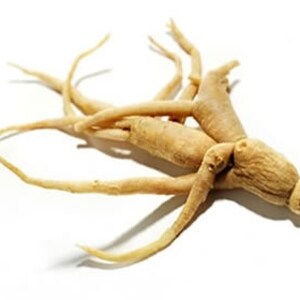 Siberian Ginseng Root / Eleutherococcus Senticosus / Herbal Tea Health Embassy - Etsy UK