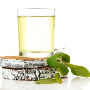 Birch Bark / Betulae Cortex / Health Embassy - Etsy