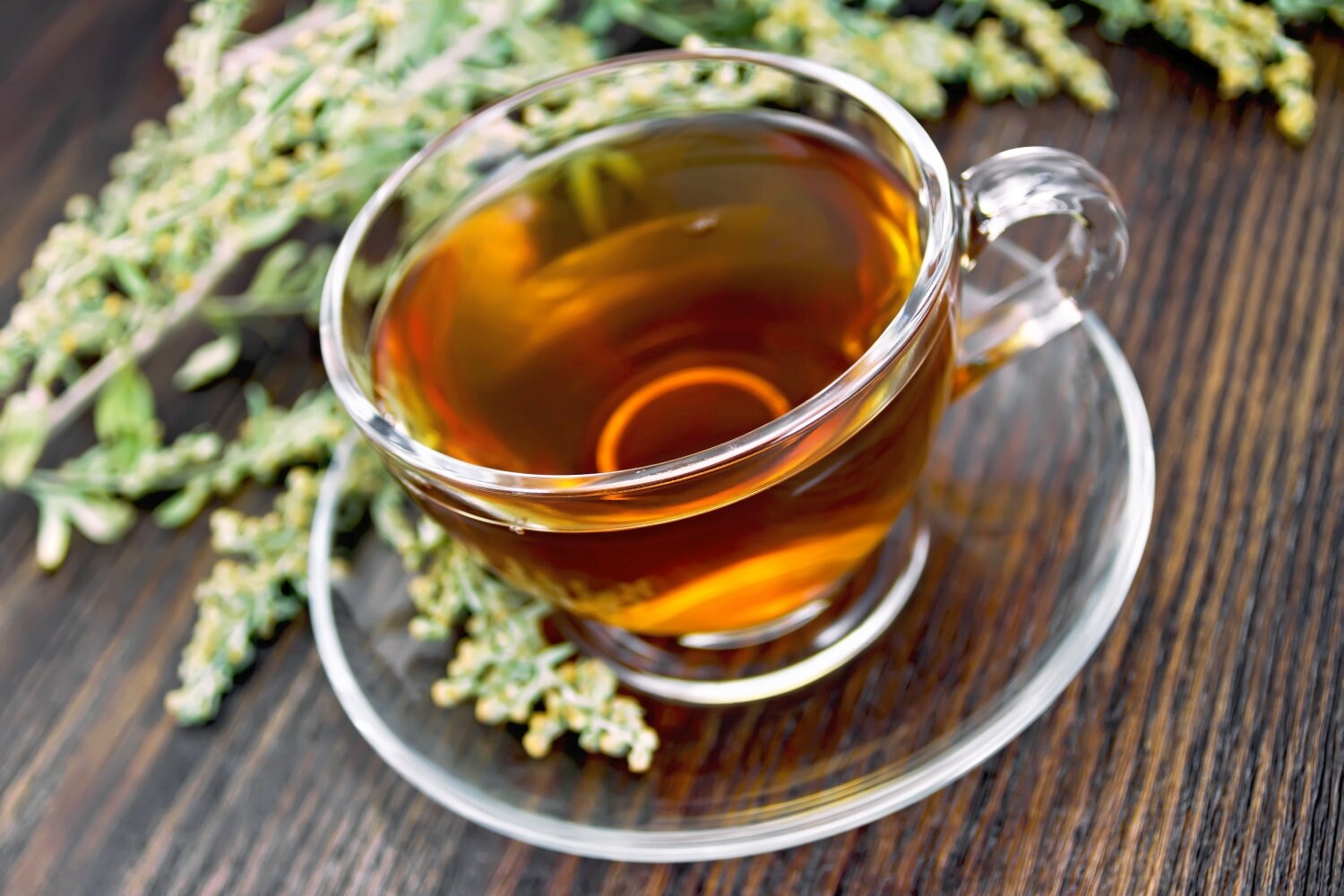 Wormwood Herb / Artemisa Absinthium L / Herbal Tea Health Embassy - Etsy