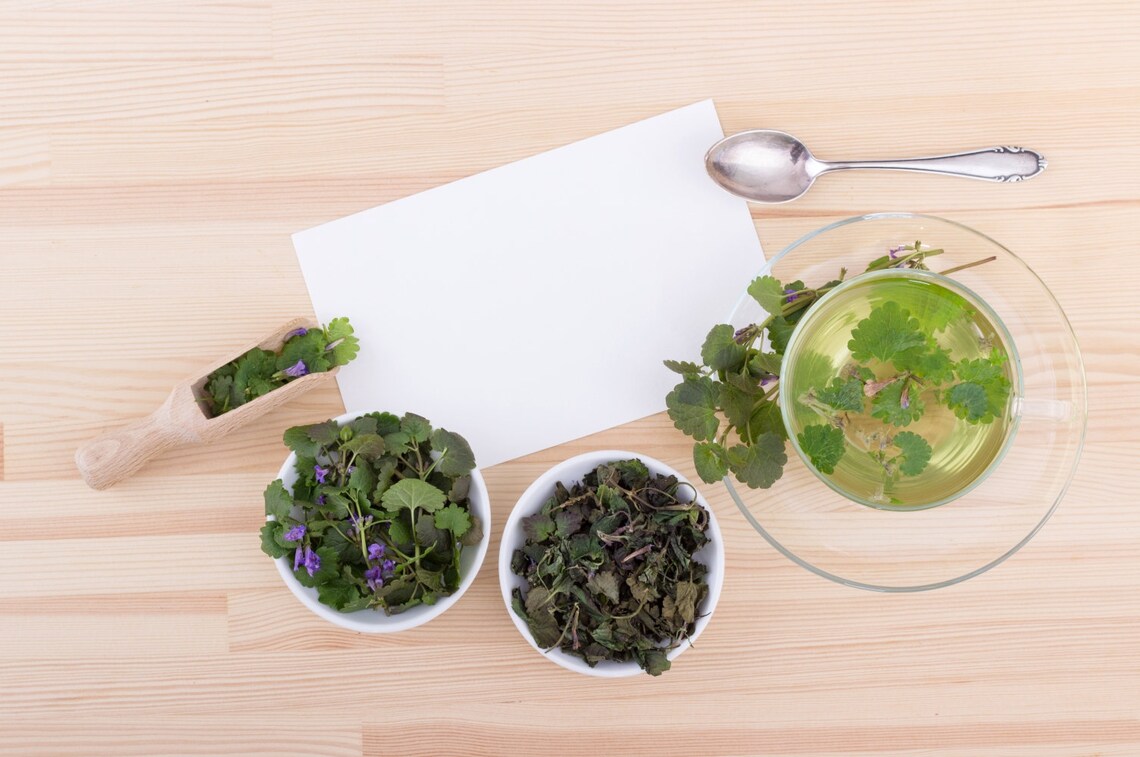 Ground Ivy Herb / Glechoma Hederacea L / Herbal Tea Health Embassy - Etsy