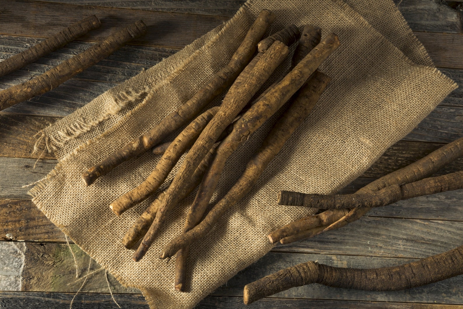 Burdock Root / Arctium Lappa L. Radix Bardanae / Health - Etsy