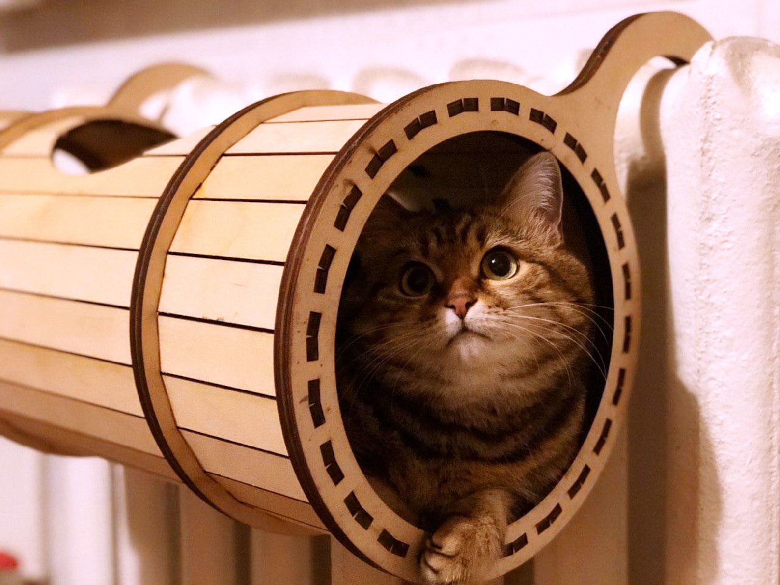 CAT House Cat Place Heater Cat House Laser Cut Vector Pattern - Etsy