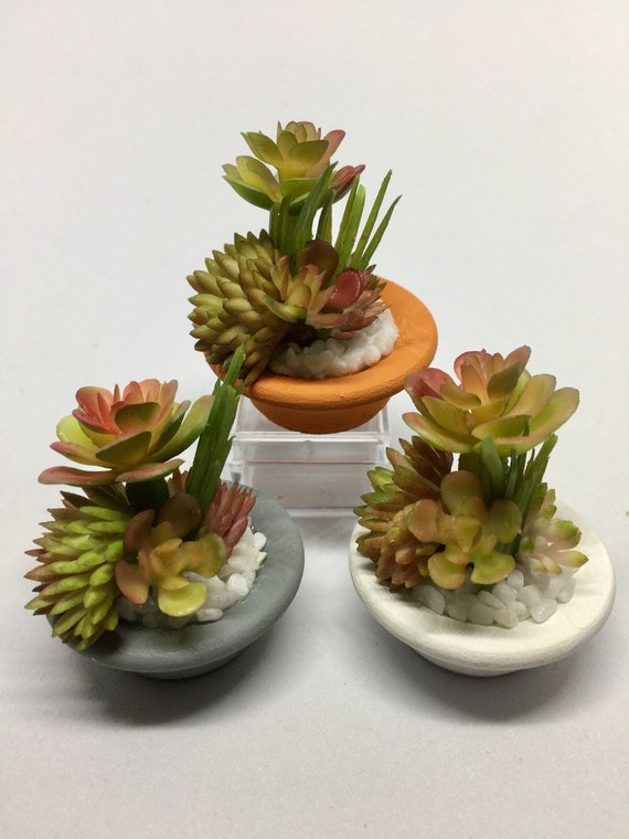 Dollhouse Miniature Plants Flowers Succulents for Barbie Dolls | Etsy
