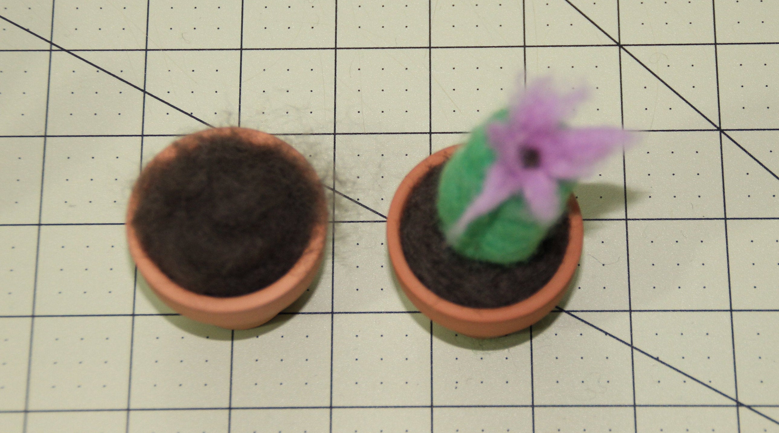 Needle Felted Cactus Kit - Etsy