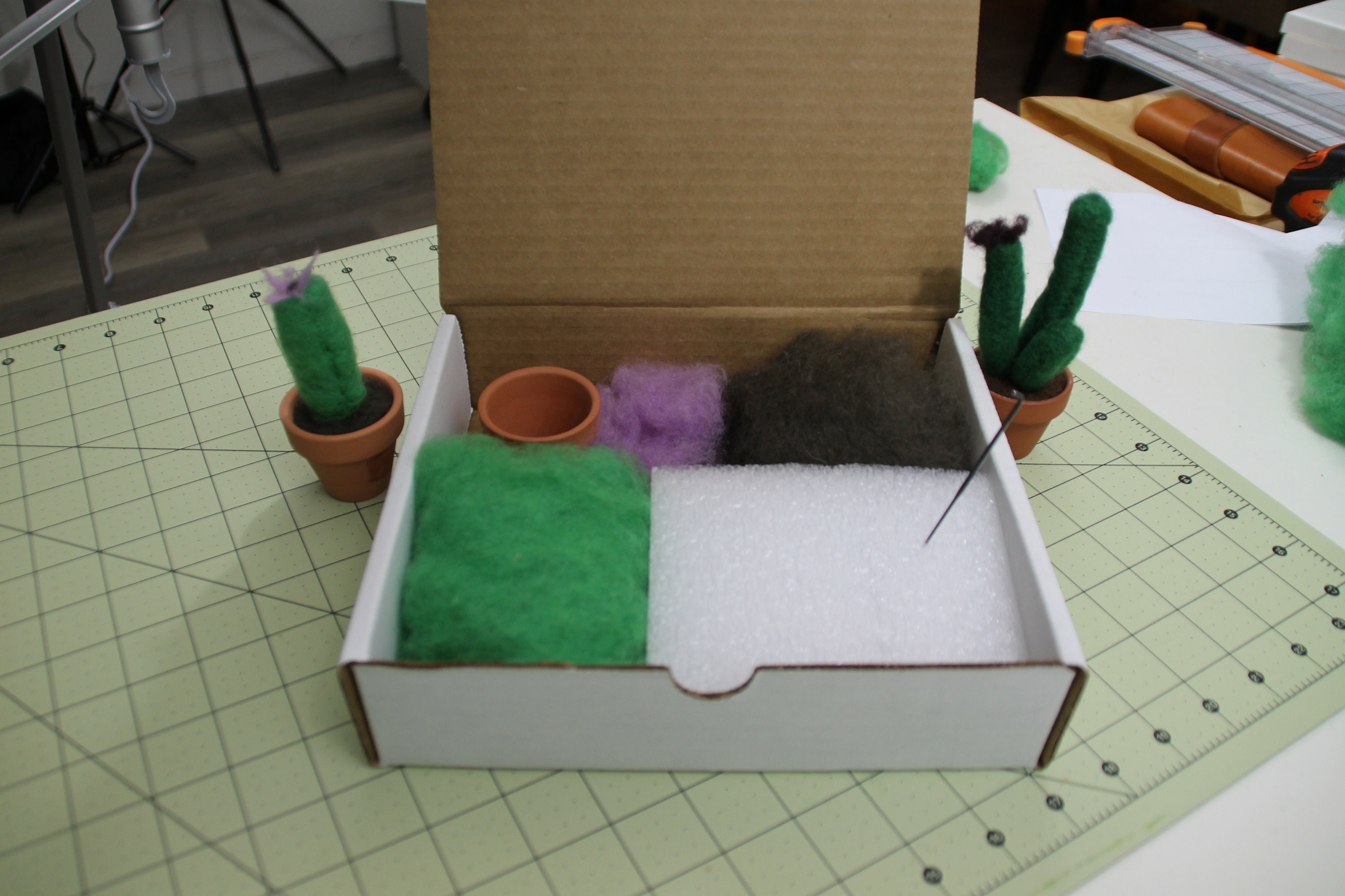 Needle Felted Cactus Kit - Etsy