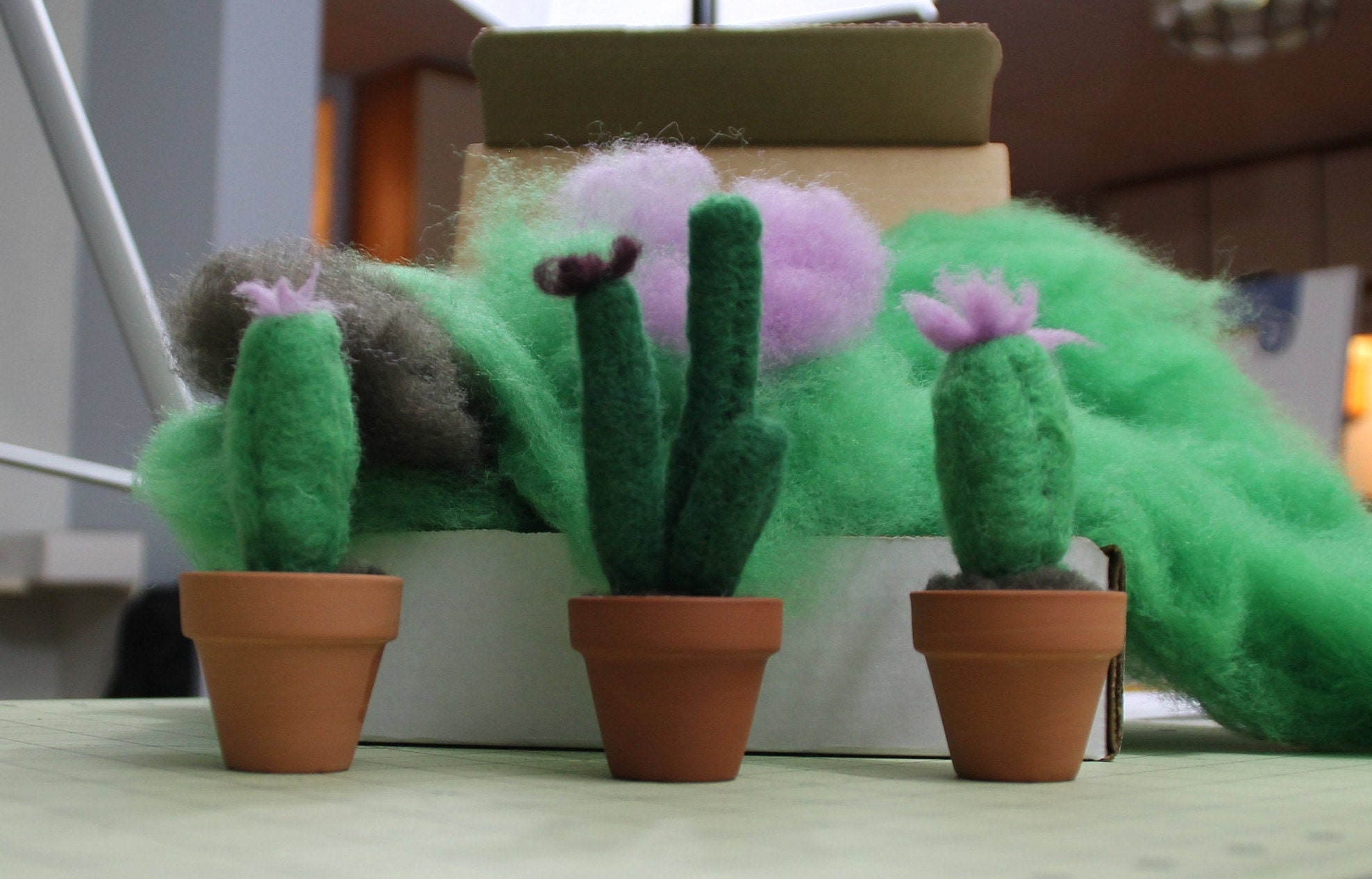 Needle Felted Cactus Kit - Etsy
