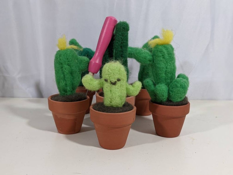 Needle Felted Cactus Kit - Etsy