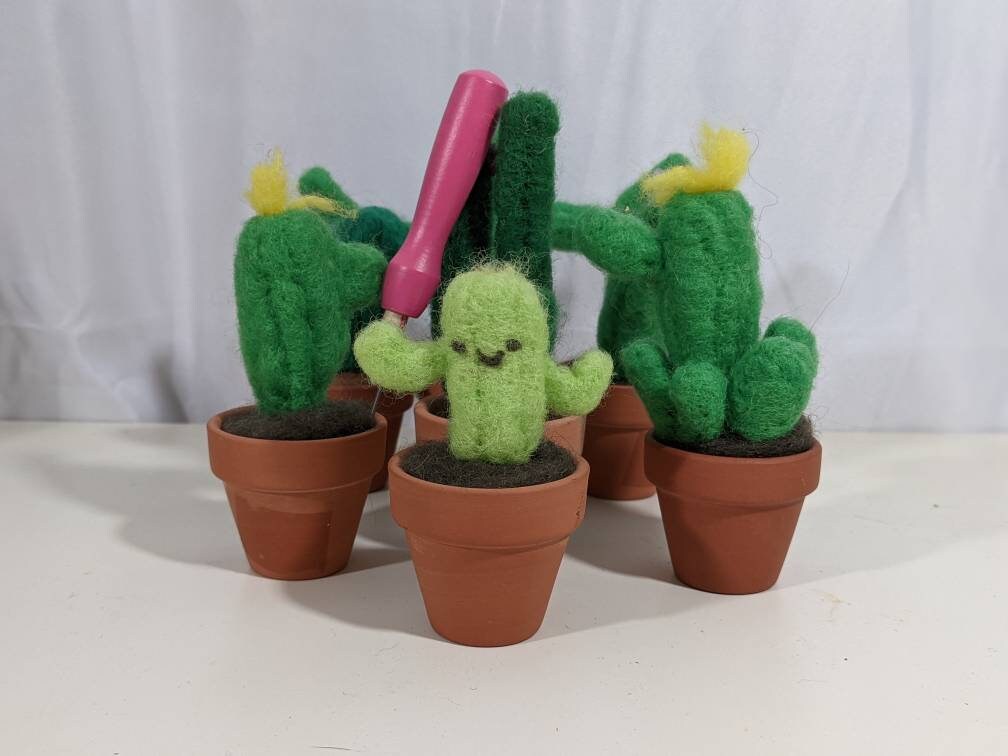 Needle Felted Cactus Kit - Etsy