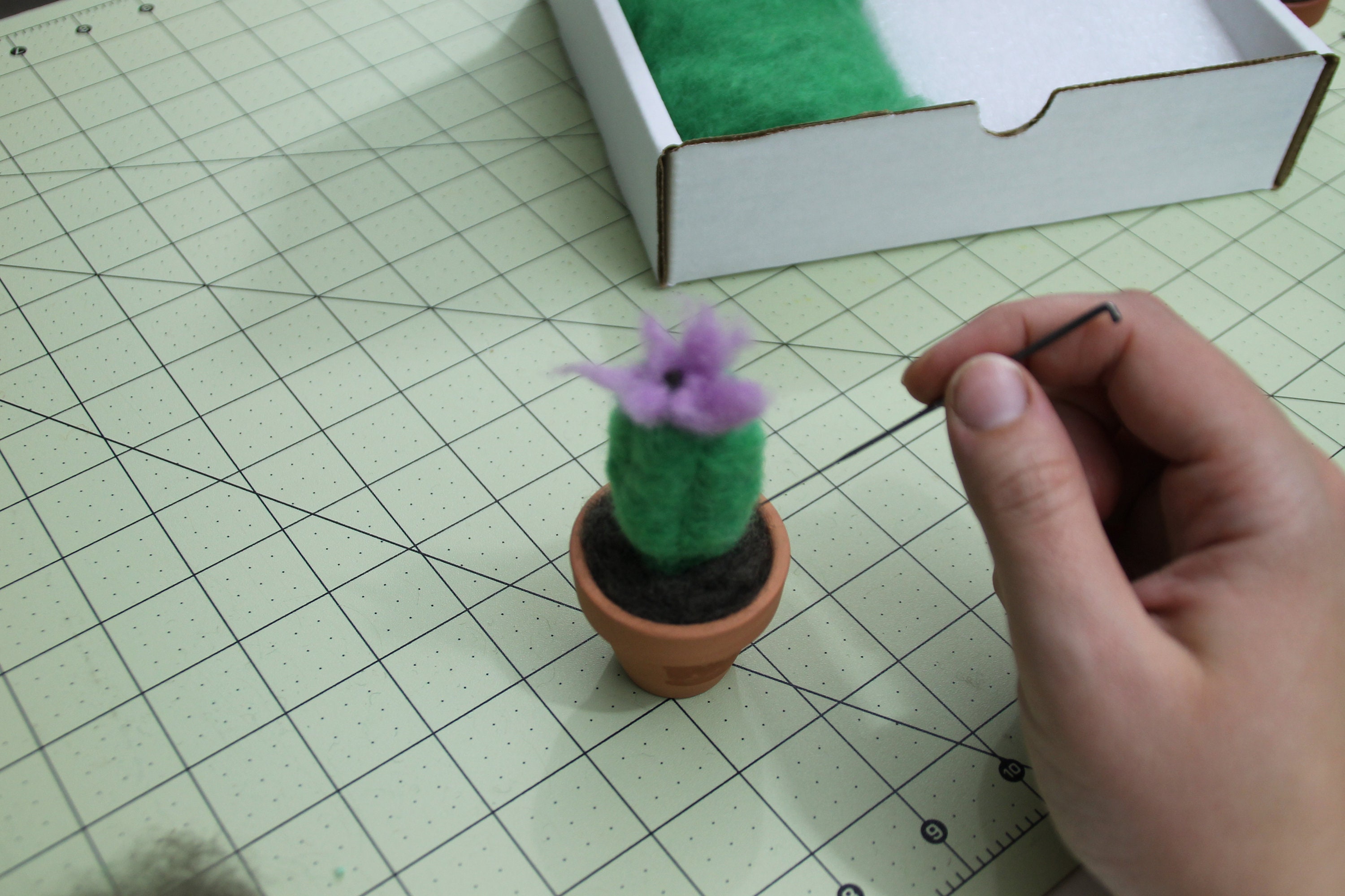 Needle Felted Cactus Kit - Etsy