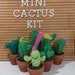Needle Felted Cactus Kit - Etsy
