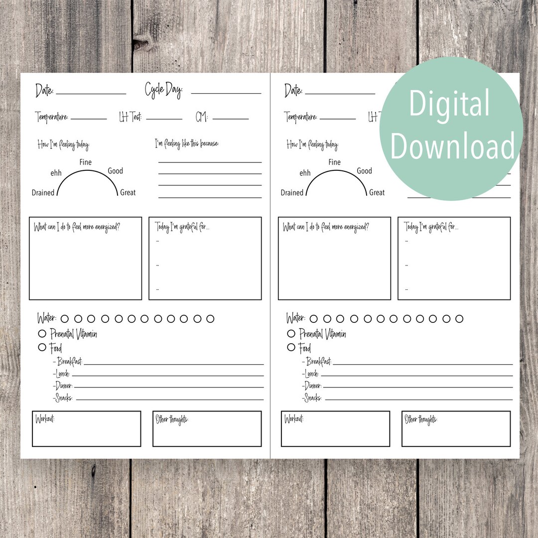 Pre-pregnancy TTC Printable Daily Journal - Fertility Journal for ...