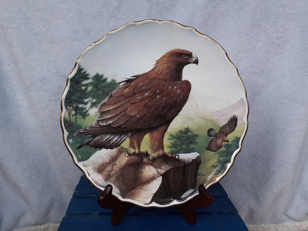 Vintage Spode Birds of Prey Collection, Collectible Plate - Etsy