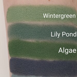 Wintergreen - Eyeshadow Matte Cool Light Green - Etsy