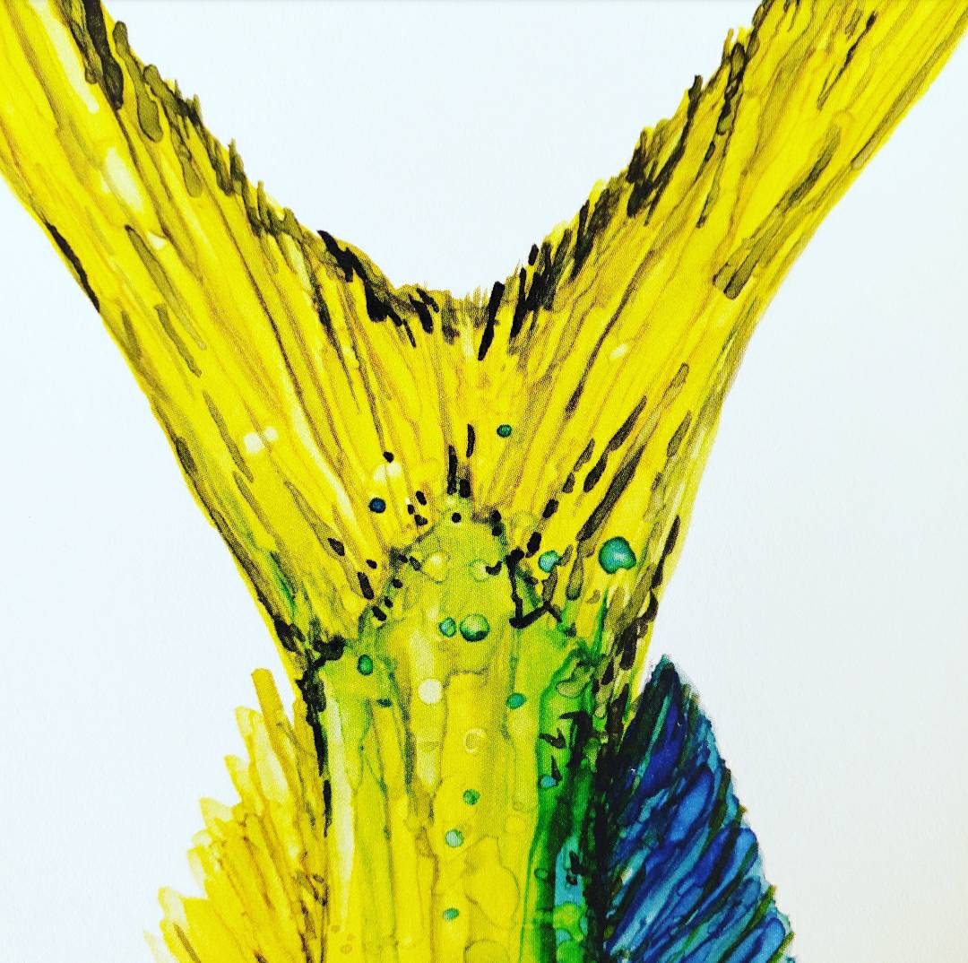 Mahi Fish Tail Print, Original Fish Print, Offshore Whimsical Fish ...