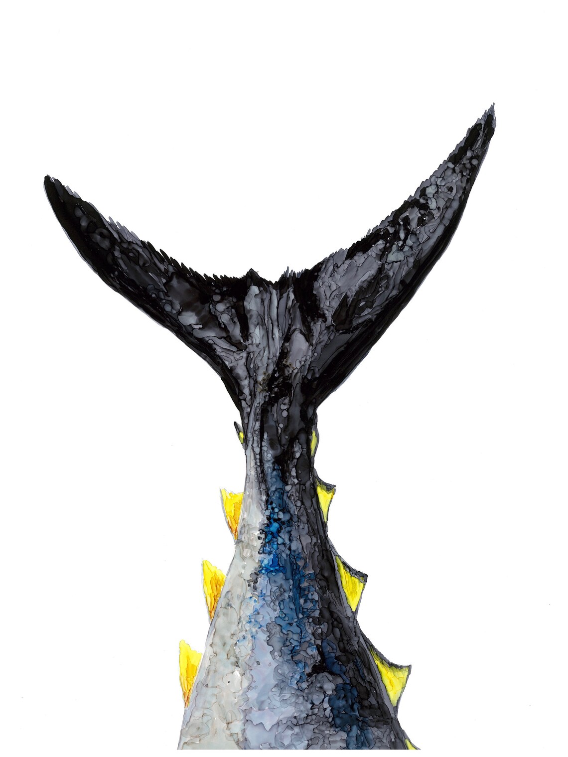 Bluefin Tuna Print, Fish Tail Print, Nautical Print, Fish Tale Series ...