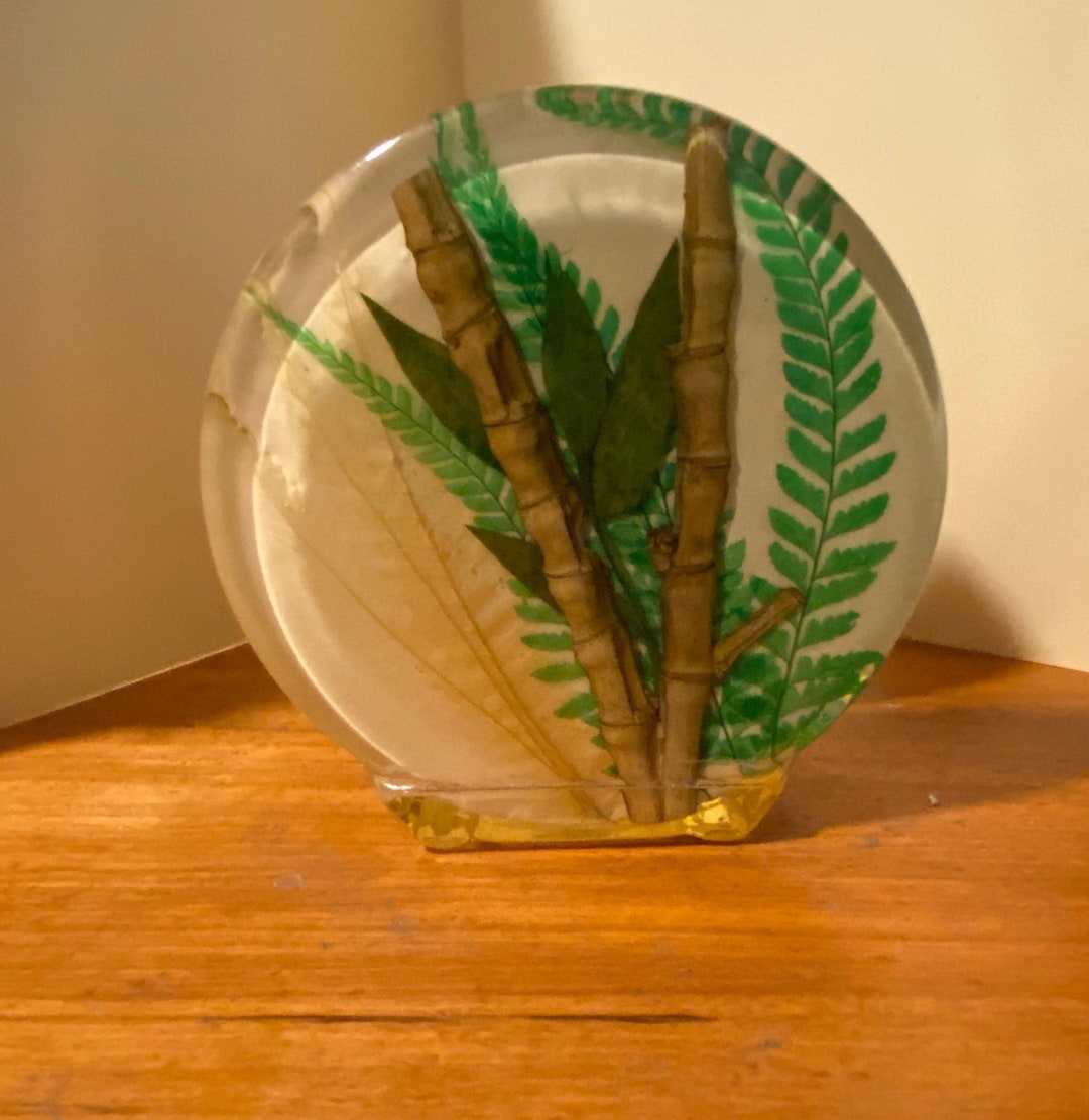 Vintage 1970s Lucite Resin Napkin Holder, Bamboo Plant Mcm/mid Century ...