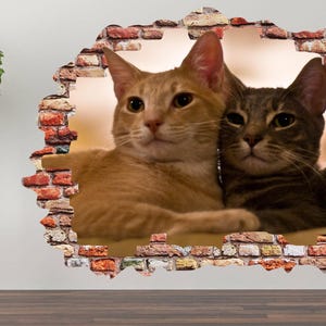 Cats, Transform Your Space With a Fantastic Vinyl Wall Decal Sticker ...