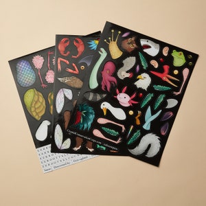 Cryptid Construction Kit - Etsy