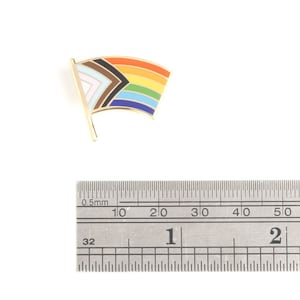 Progress Pride Flag Pin - Etsy