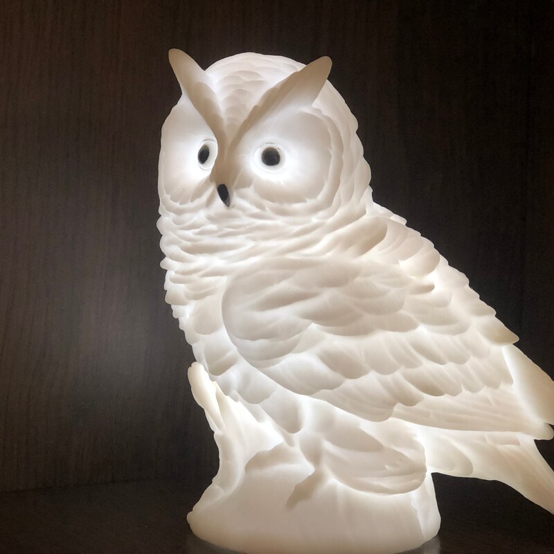 Night Owl Wall Light - Etsy