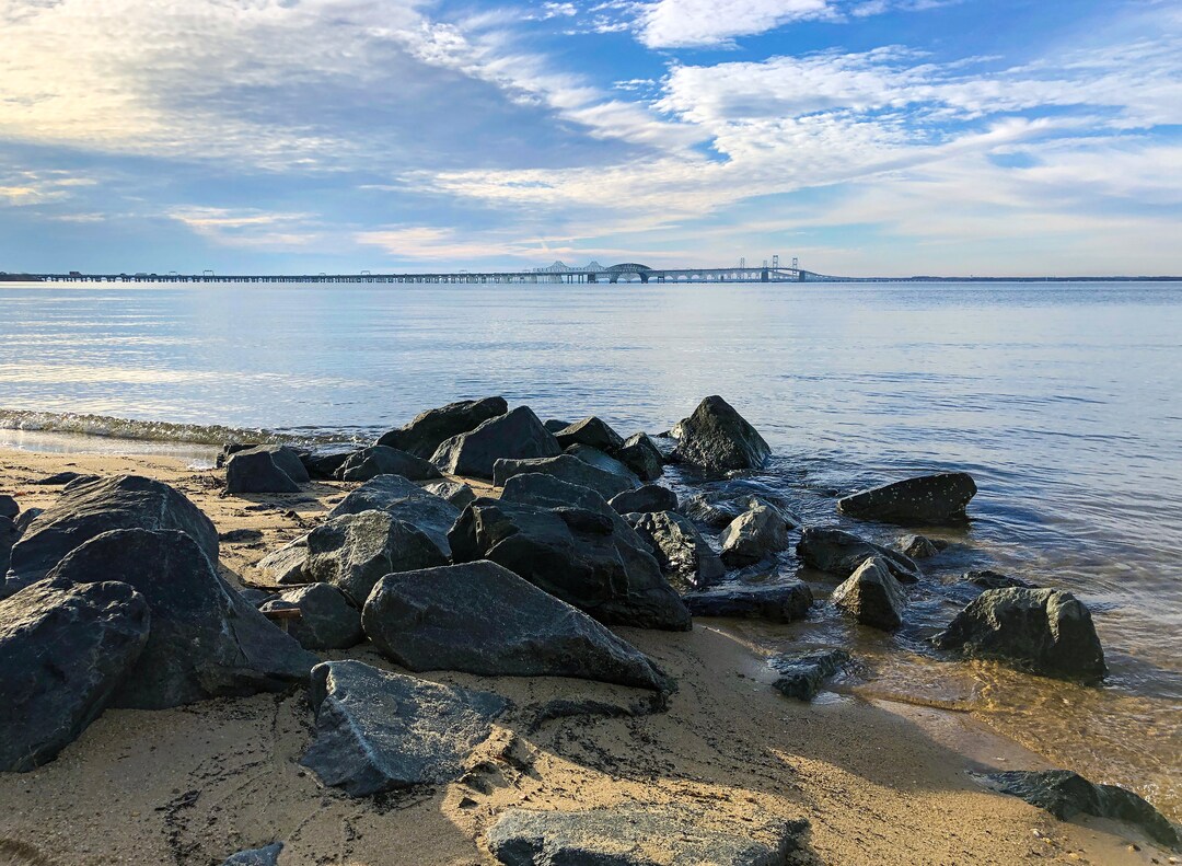 Terrapin Nature Park | Chesapeake Bay Bridge - Etsy