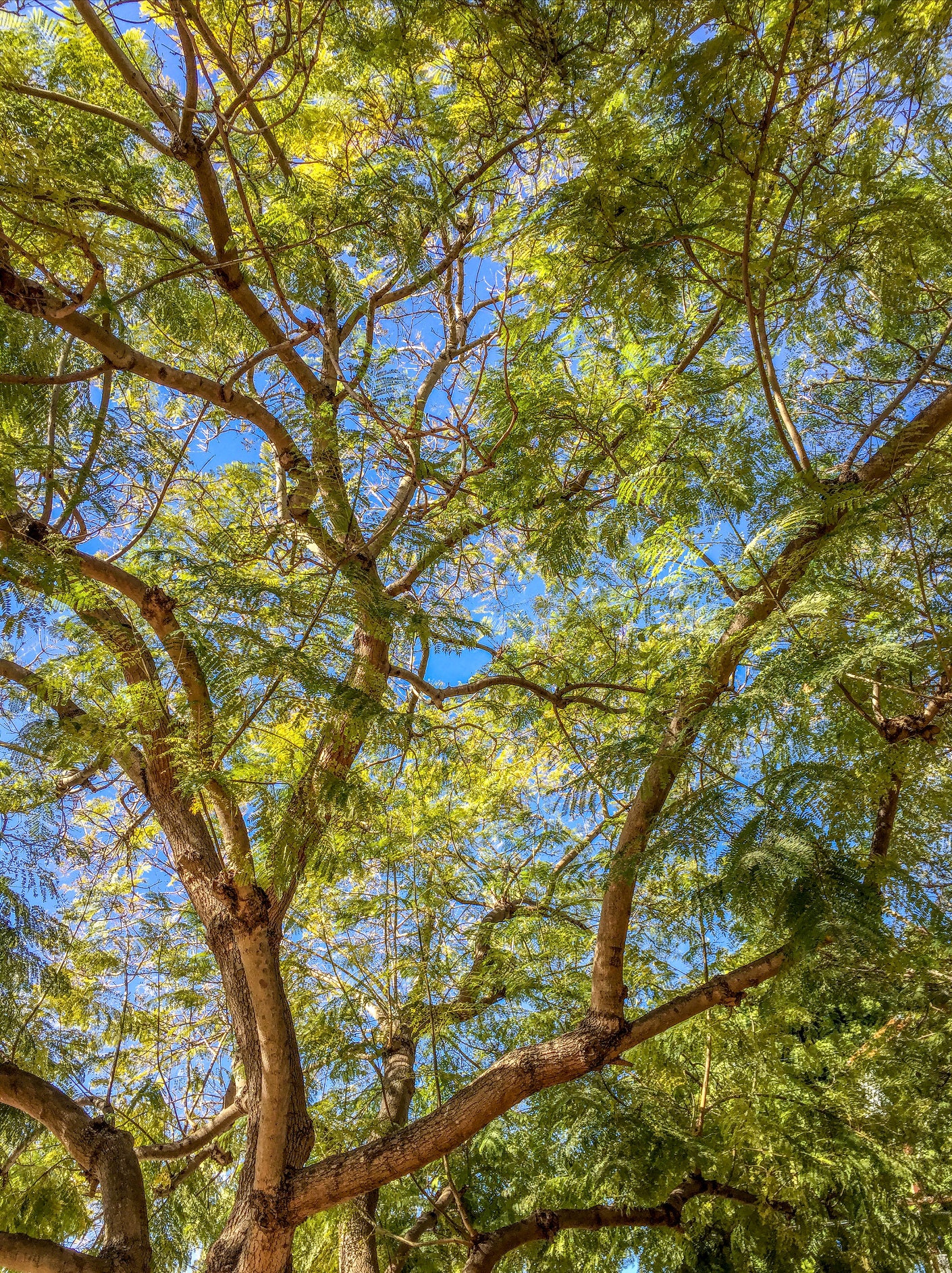 Hermosa Beach Chip Trail - Etsy