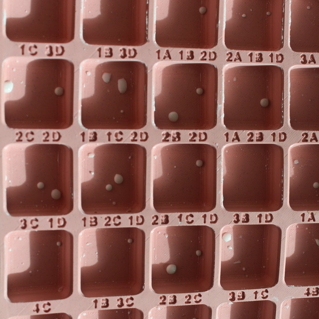 5x5 Test Tray - Etsy