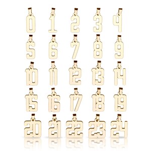 14K Gold Plated Number Pendant With Chain Necklace - Stainless Steel ...