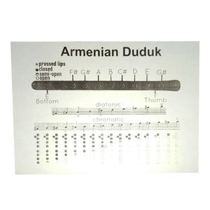 Duduk Armenian New From ARMENIA, 100% Hand Made APRICOT WOOD ...