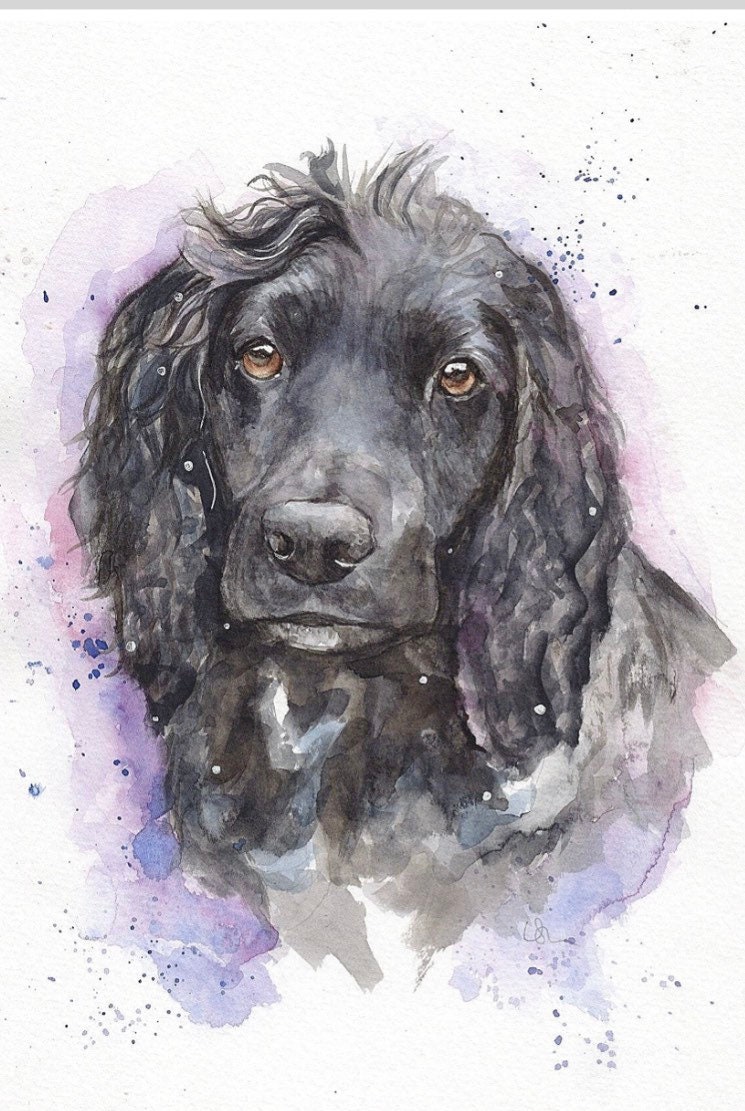 Cocker Spaniel Watercolour Print Picture Hound Working - Etsy