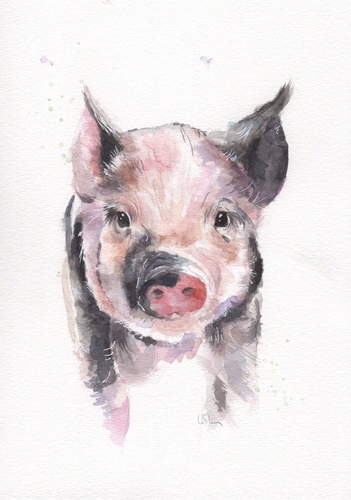 Pig Piglet Watercolour Art Print Farm Yard Farming - Etsy