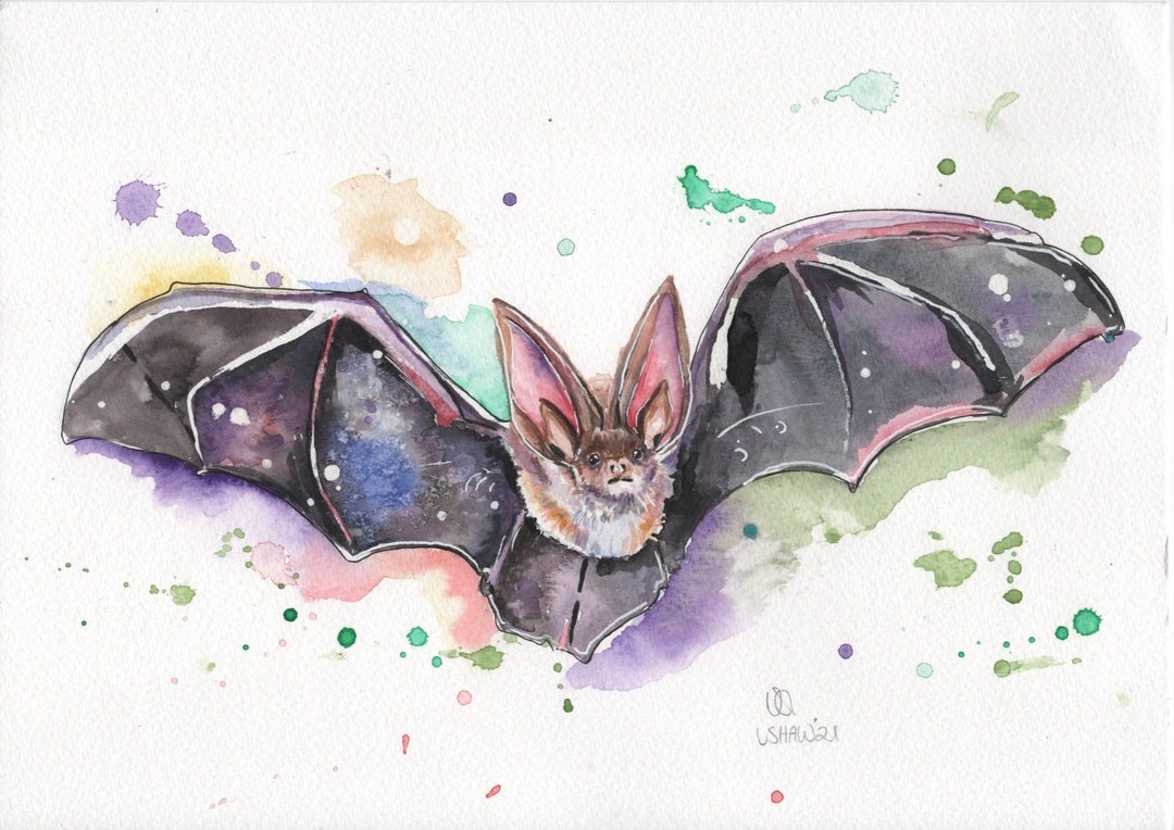 Bat Picture / Bat Watercolour / Bat Print / Bat Painting / Gothic / Bat ...