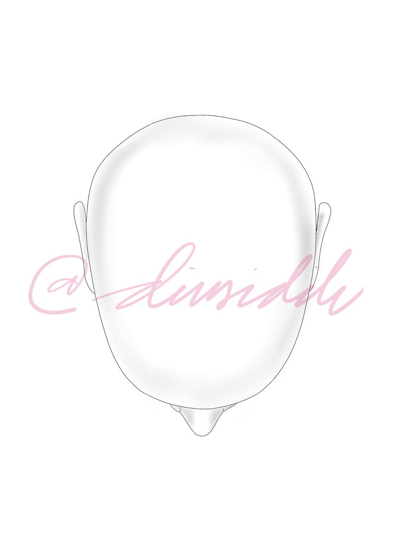 Basic Face Chart for Makeup and Haircut - Etsy