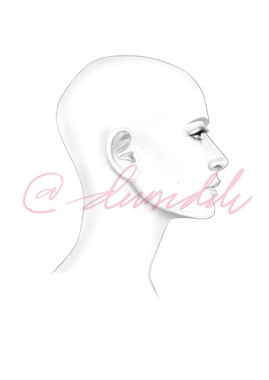 Basic Face Chart for Makeup and Haircut - Etsy