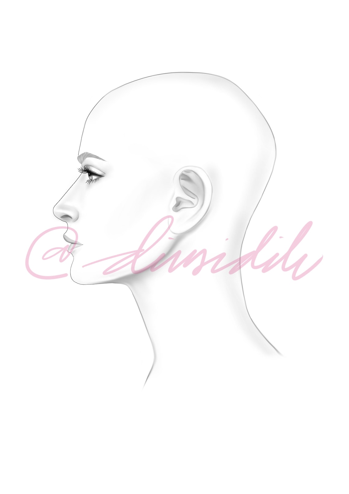 Basic Face Chart for Makeup and Haircut - Etsy