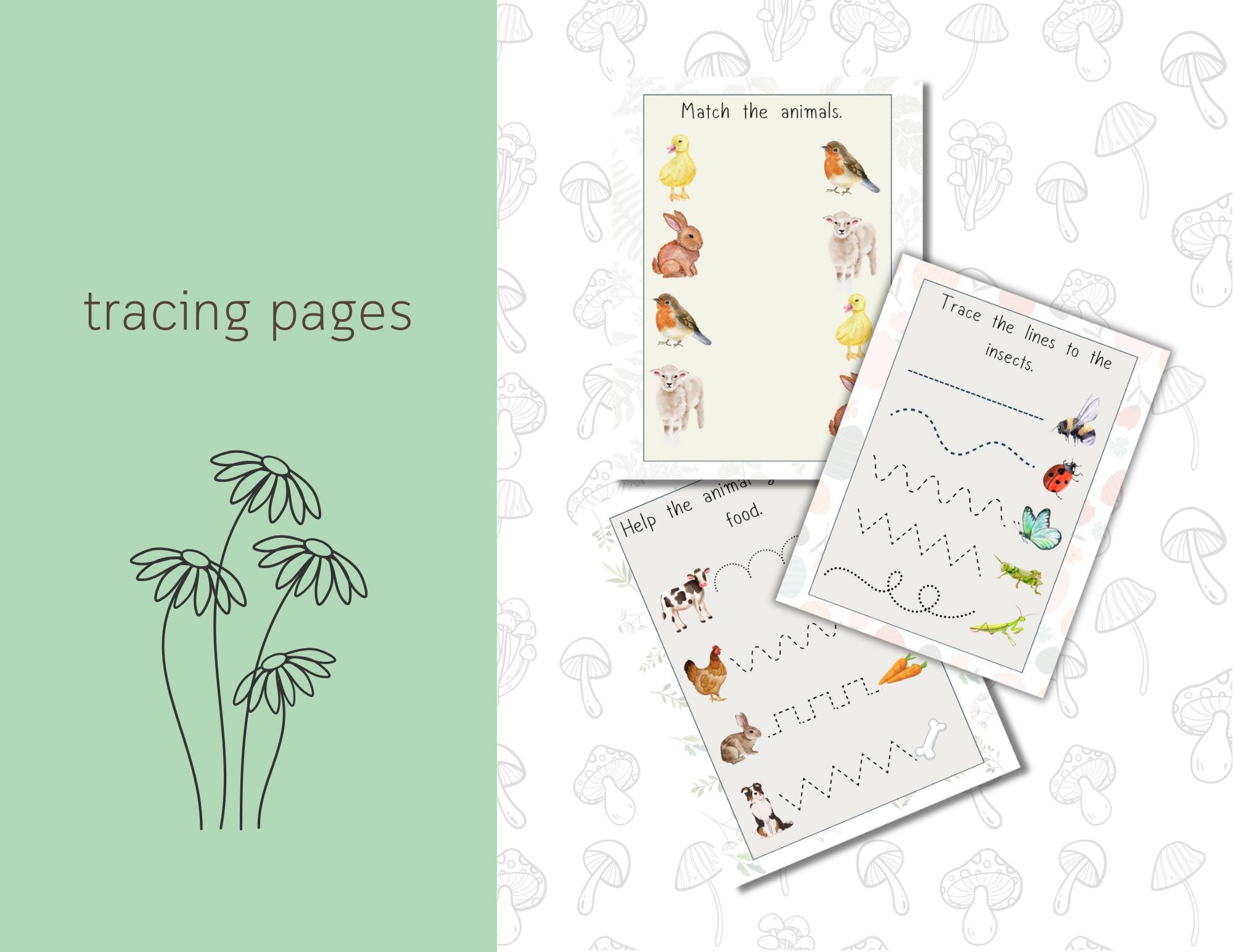 Spring Preschool Learning Journal Printables - Etsy