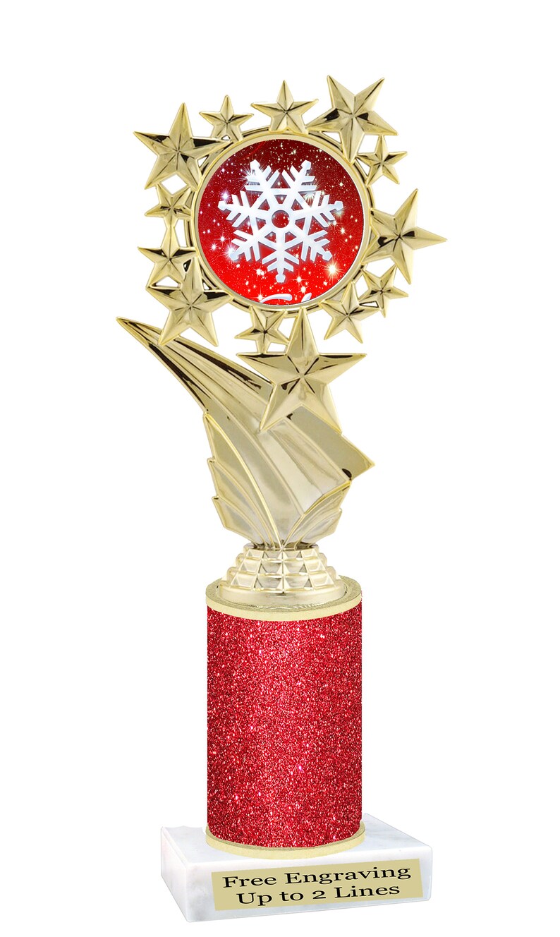Snowflake Theme Trophy. Great for All of Our Holiday Events, Contests ...