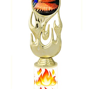 BBQ Cook off Trophy. Great Trophy for BBQ Cook off Events, BBQ Events ...