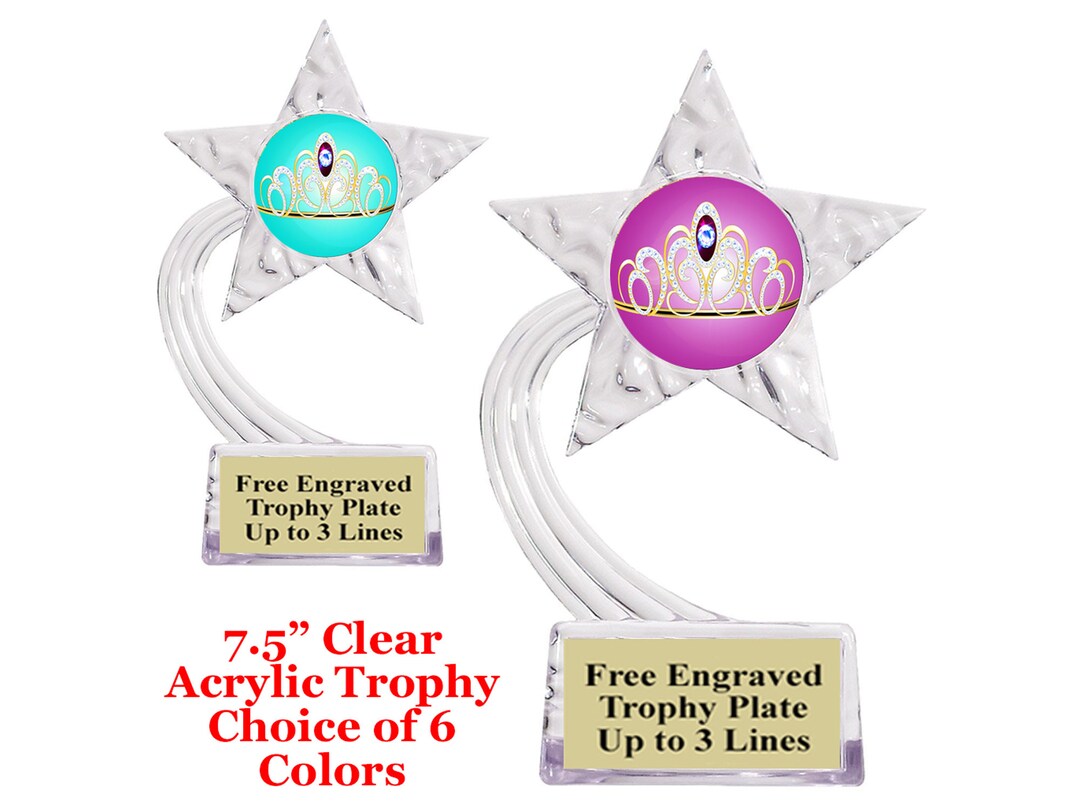 Acrylic Trophy With Choice of Color. Great Economy Award for Any Event ...