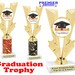 Math Theme Trophy. Great Award for Schools Contests - Etsy