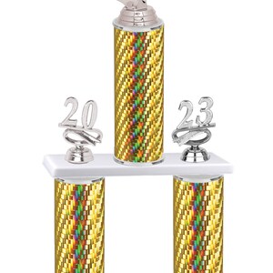 Custom 2-column Trophy. Available in 3 Trophy Heights & Choice of Figure. A Special Award for ...