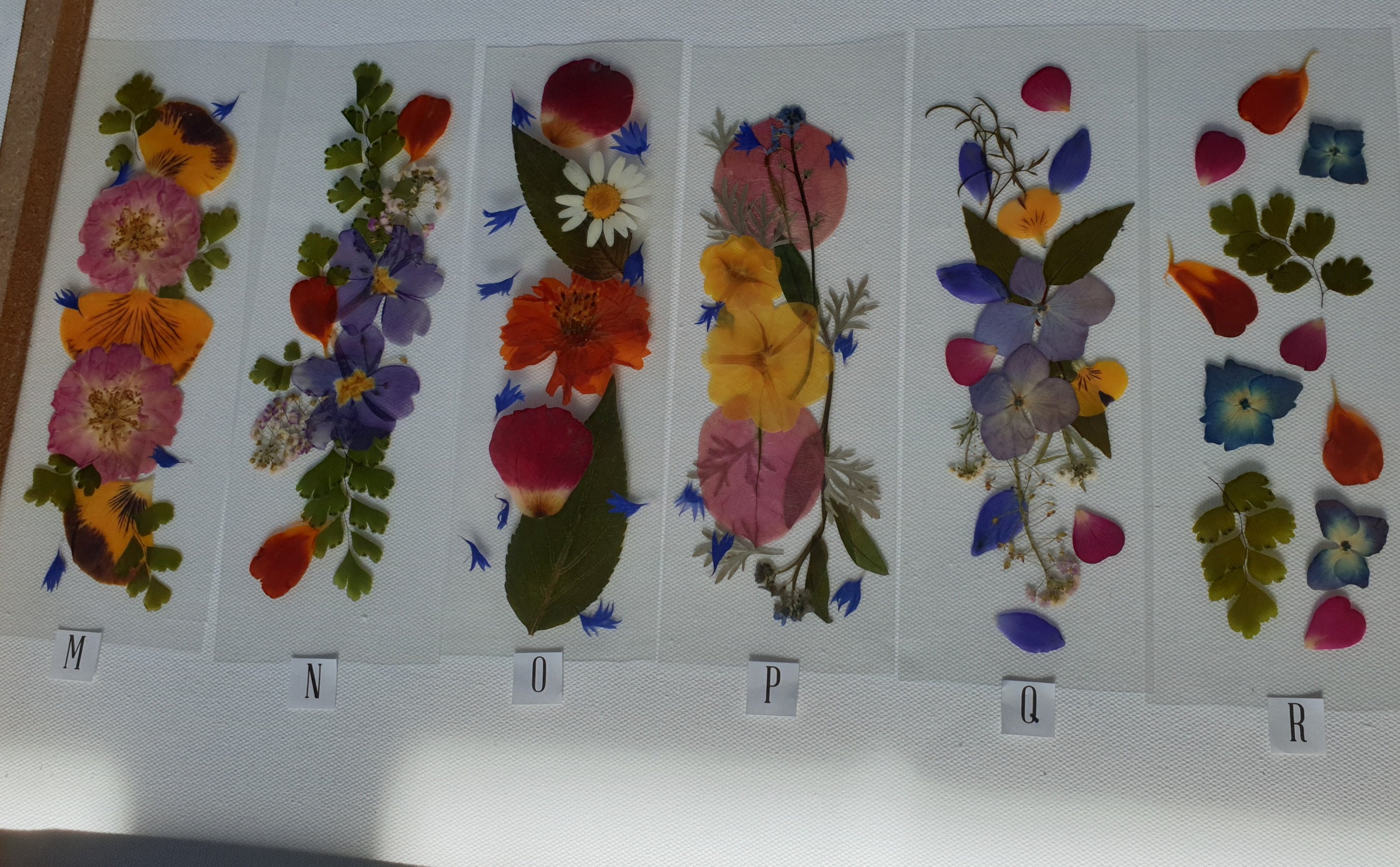 Pressed Flower Bookmark Laminated Real Pressed Flower Bookmark - Etsy
