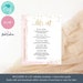 Pale Pink Brunch Menu Sign Printable Ladies Birthday Party Bridal ...