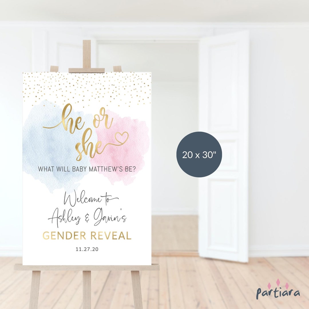 Baby Gender Reveal Welcome Sign He or She Boy or Girl Pastel Blue Pink ...